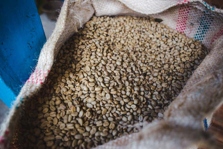 Tour por las plantaciones de café del Quindío desde Buenavista