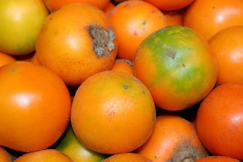 Cali Artisan and Alameda Gallery Tour from Cali, Colombia