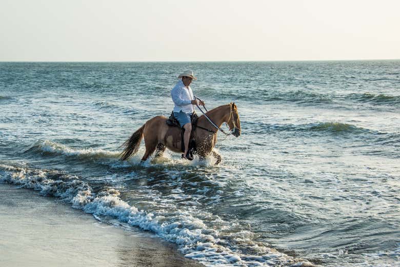 Balade privée à cheval sur la plage + Ranch traditionnel depuis ...