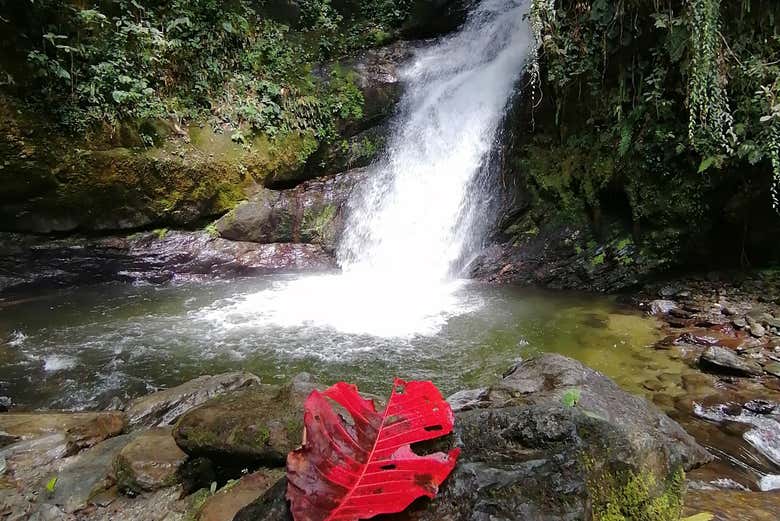 La Plata Waterfall Hike from Ibagué - Book at Civitatis.com