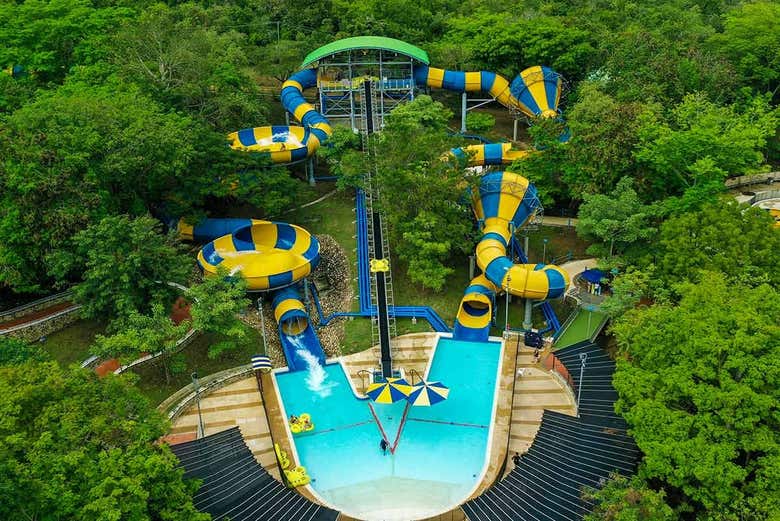 Excursión al Parque Acuático Piscilago desde Ibagué