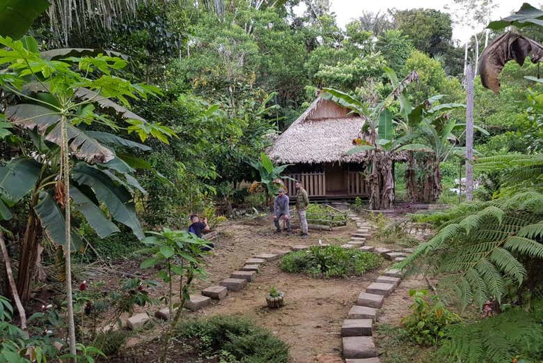 Excursión a una maloca del Amazonas desde Leticia - Civitatis.com