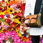 Excursiones, visitas guiadas y actividades en Medellín