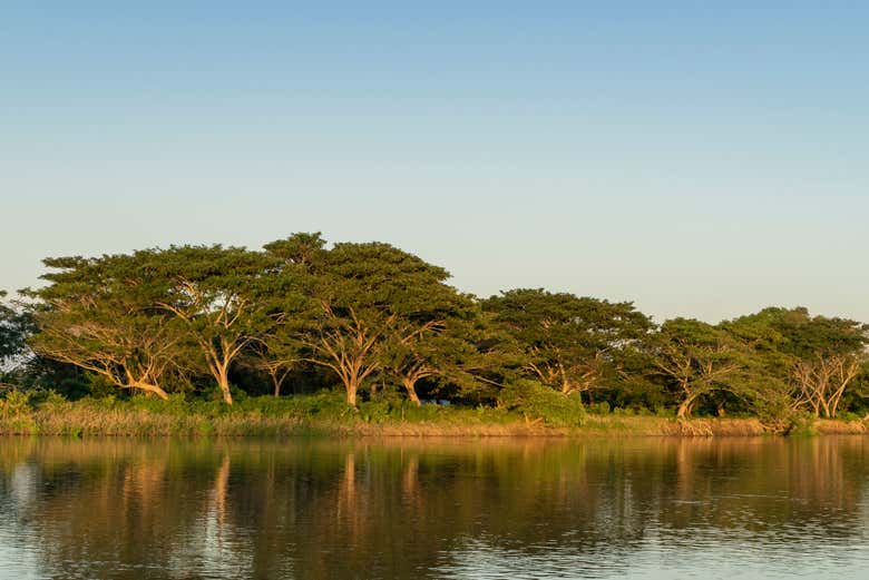 Paseo en barco por Mompox - Reserva online en Civitatis.com