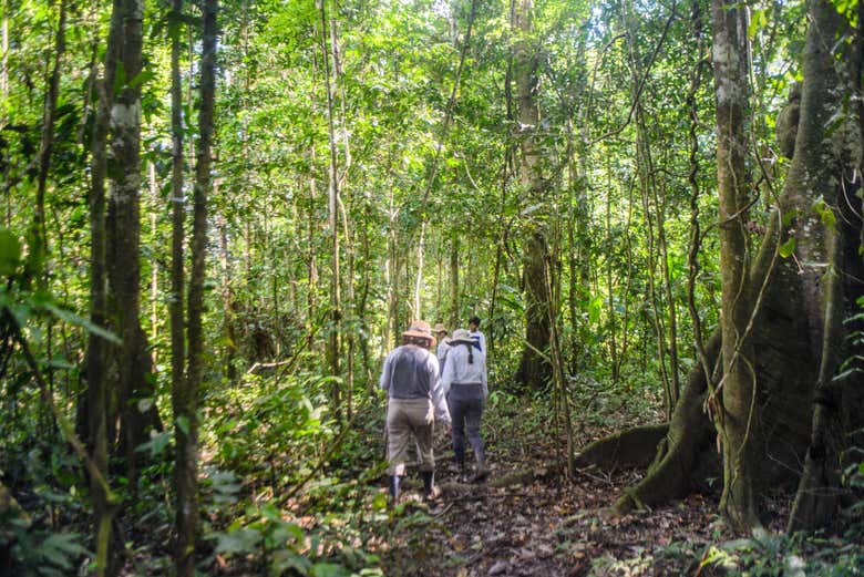 Cacao Island and San Antonio Community Trip from Puerto Nariño