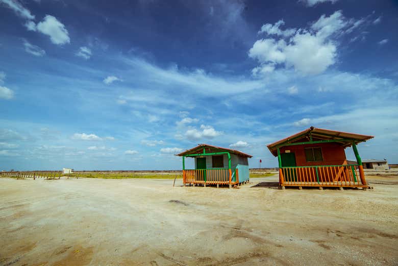 Mayapo Beach Day Trip from Riohacha - Book Online at Civitatis.com