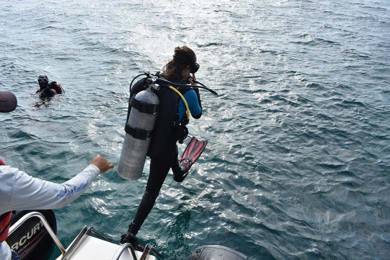 Bautismo de buceo en Taganga desde Santa Marta - Civitatis.com