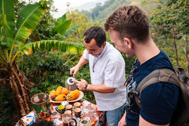 Tour del café por la región de Santa Marta - Civitatis.com