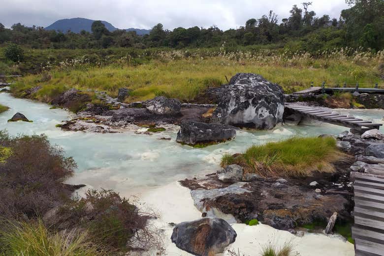 Excursión al Parque Nacional Puracé + Avistamiento del cóndor andino ...