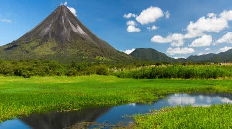 Excursiones, visitas guiadas y actividades en Arenal - Civitatis