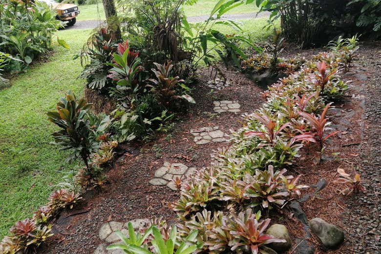 Entrada al Jardín Botánico de Guácimo - Civitatis.com