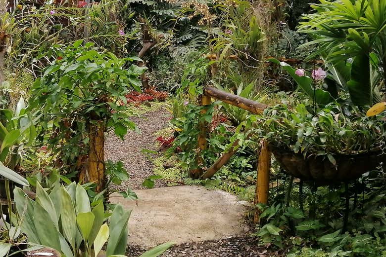 Entrada al Jardín Botánico de Guácimo - Civitatis.com