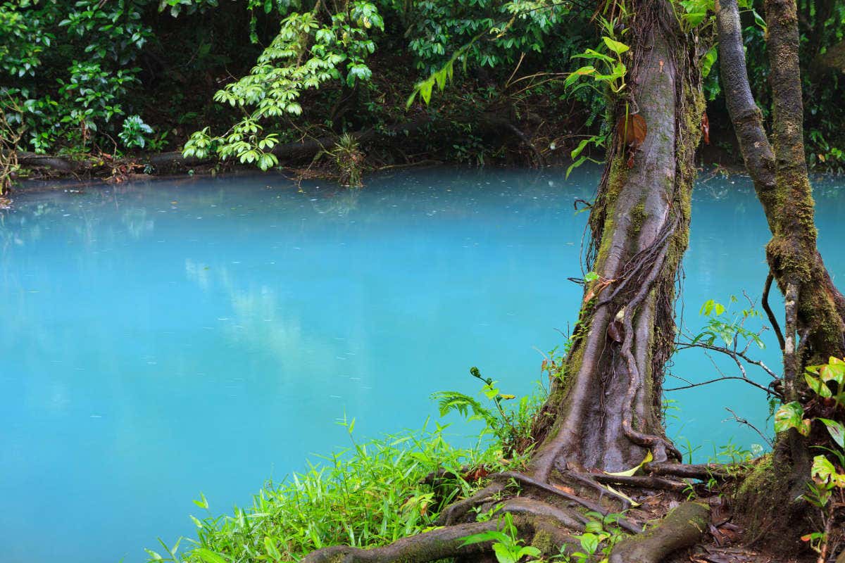 Senderismo por el río Celeste desde La Fortuna - Civitatis.com