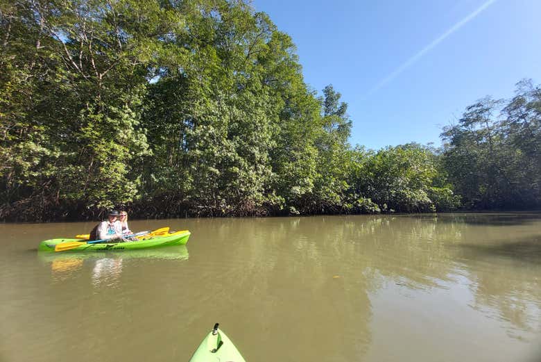 Manuel Antonio National Park Mangroves Tour - Civitatis.com