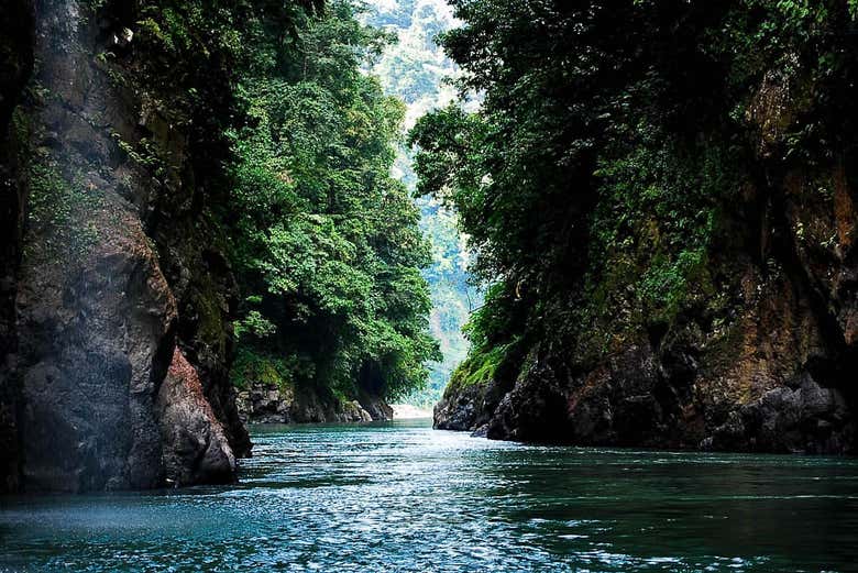Pacuare River Rafting from San José - Book at Civitatis.com