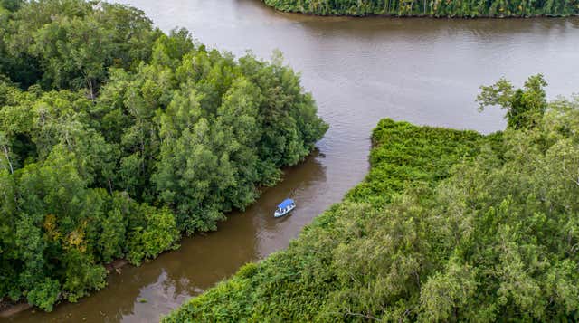 Excursiones, visitas guiadas y actividades en Sierpe - Civitatis