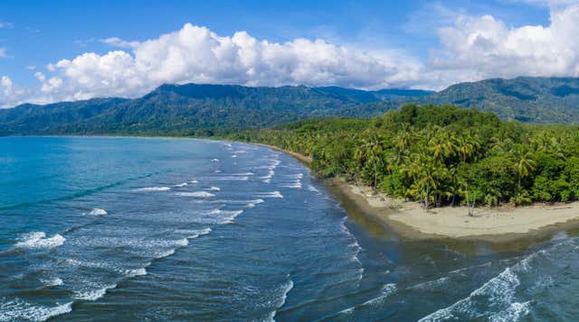 Excursiones, visitas guiadas y actividades en Uvita - Civitatis