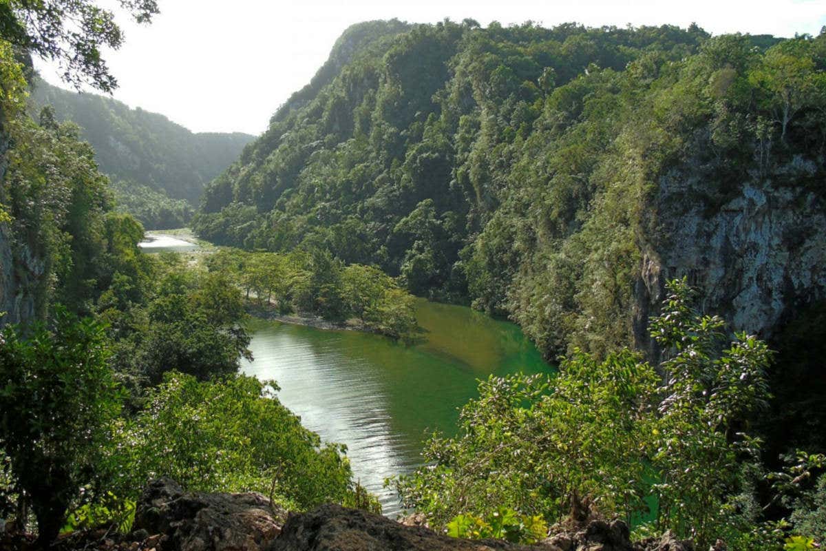 Excursión al Cañón de Yumurí desde Baracoa - Civitatis.com
