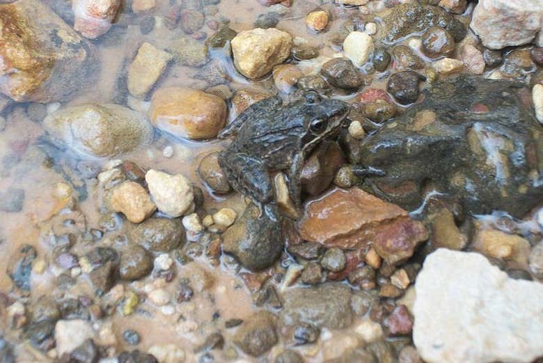 Abra de Canasi Hike + Snorkelling, Boca de Canasí