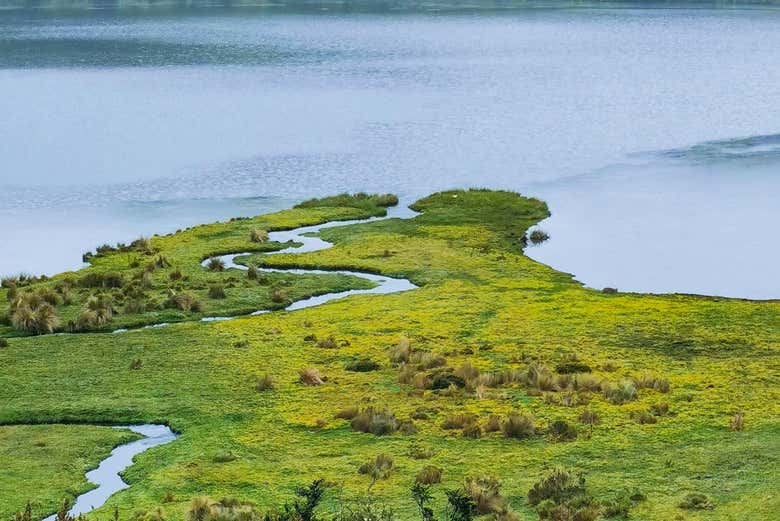 Laguna Luspa Hiking Tourfrom Cuenca - Book Online at Civitatis.com