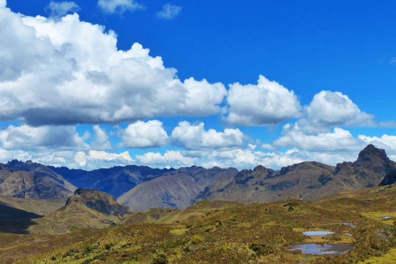 Excursión al Parque Nacional Cajas, Cuenca