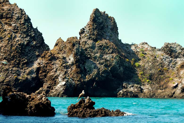 5 días por Española, Floreana, Santiago y Santa Cruz desde Isla San ...