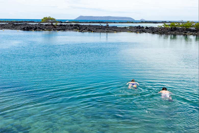 Isabela Island Sightseeing Tour - Book Online at Civitatis.com