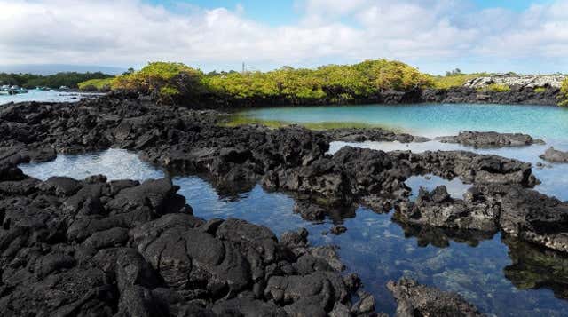 Excursiones, visitas guiadas y actividades en Isla Isabela