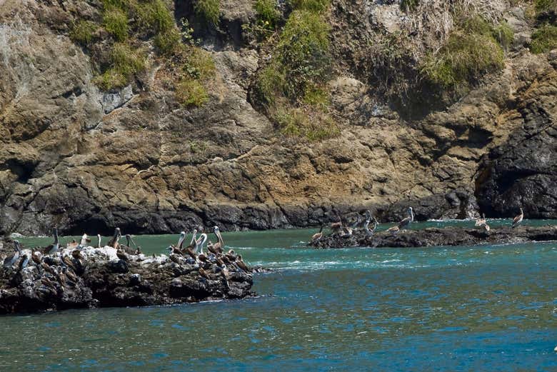 Excursión a Isla Salango desde Puerto López - Civitatis.com