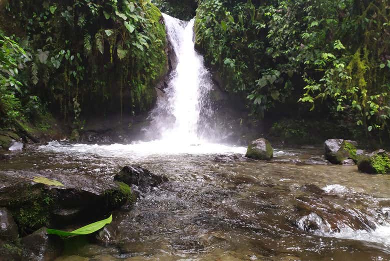 Excursión a Mindo desde Quito - Reserva online en Civitatis.com