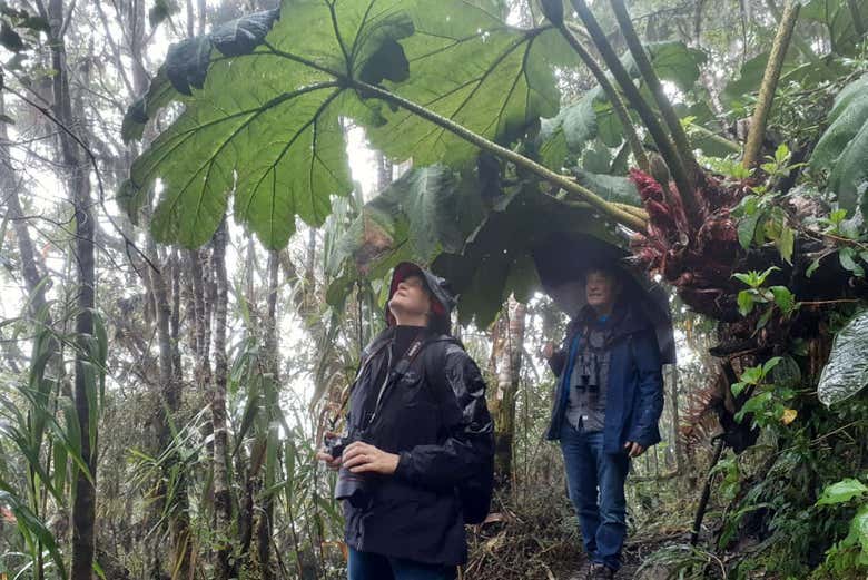 Yanacocha Reserve Tour from Quito - Book Online at Civitatis.com