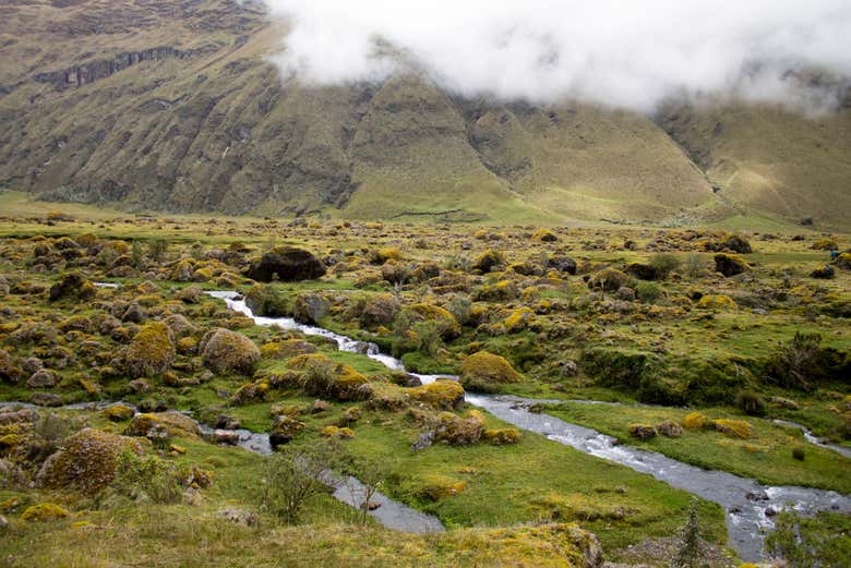 Trekking de 2 días por el volcán El Altar desde Riobamba