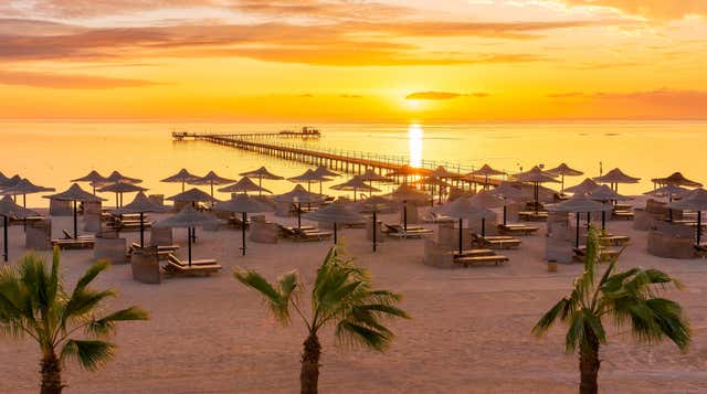 Activities, Guided Tours and Day Trips in Marsa Alam - Civitatis