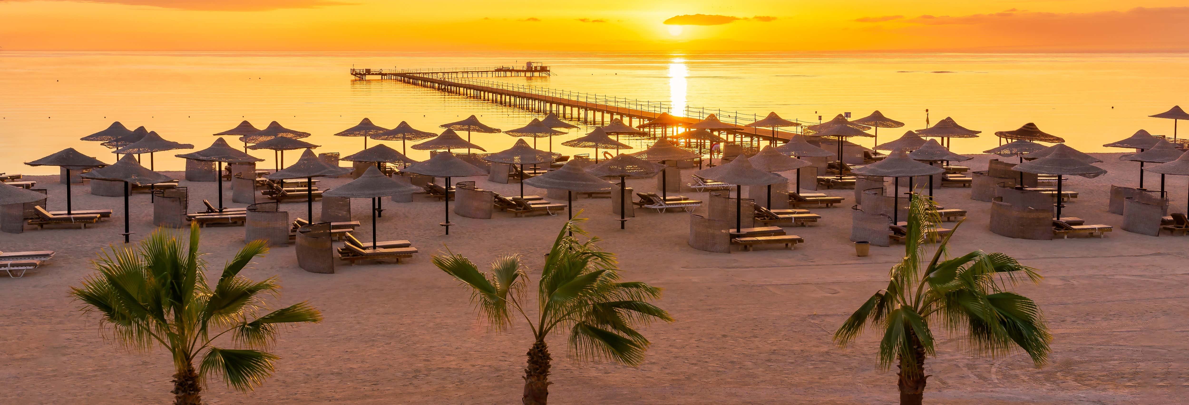 Activities, Guided Tours and Day Trips in Marsa Alam - Civitatis