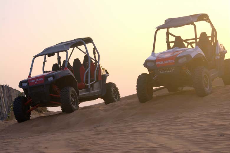 Al Wadi Desert Buggy Tour from Ras al Khaimah, Ras al-Khaimah