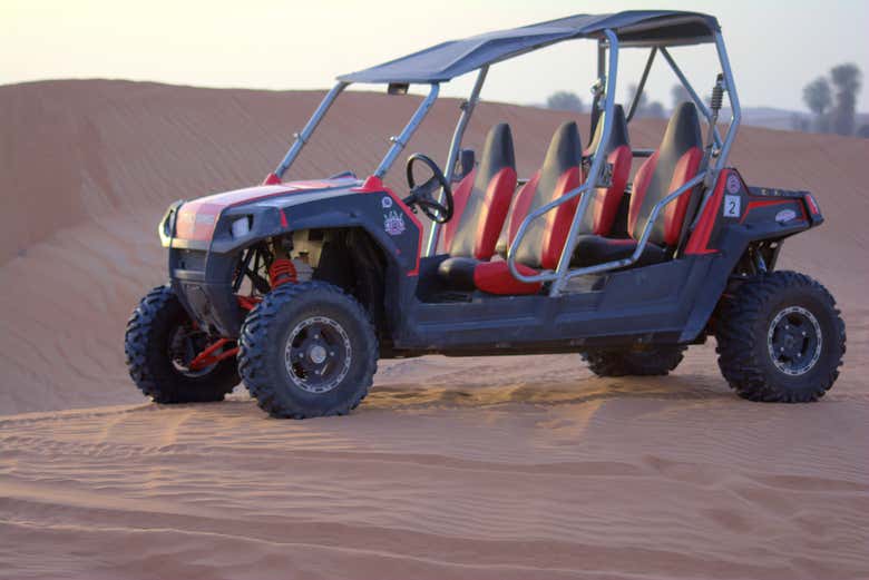 Al Wadi Desert Buggy Tour from Ras al Khaimah, Ras al-Khaimah