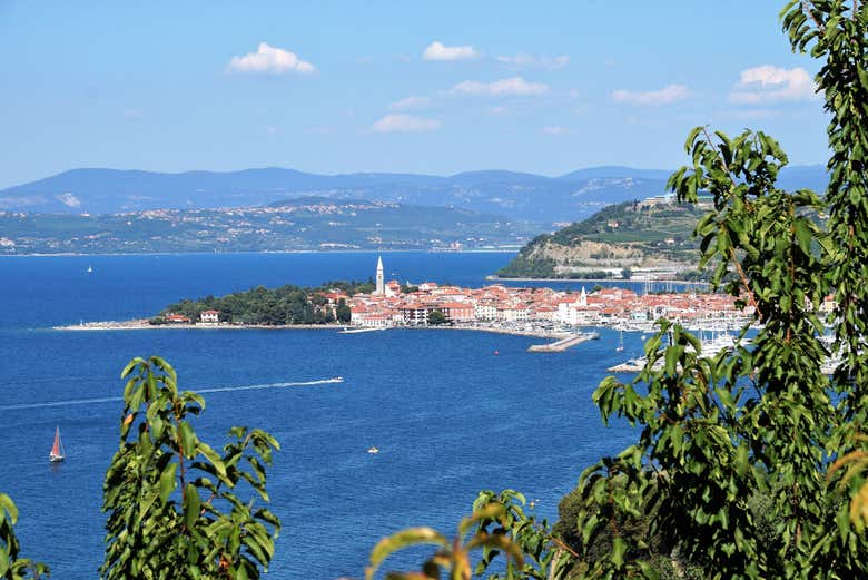 Piran, Portorož & Izola Tour - Book Online at Civitatis.com