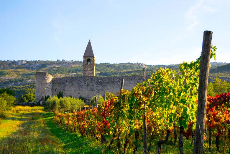 Socerb, Hrastovlje & Marezige Tour from Koper - Civitatis.com