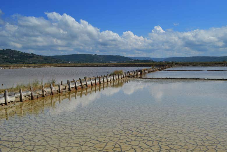 Dragonja Valley Hiking Tour from Koper - Book at Civitatis.com