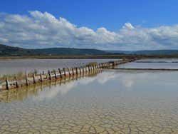 Dragonja Valley Hiking Tour from Koper - Book at Civitatis.com