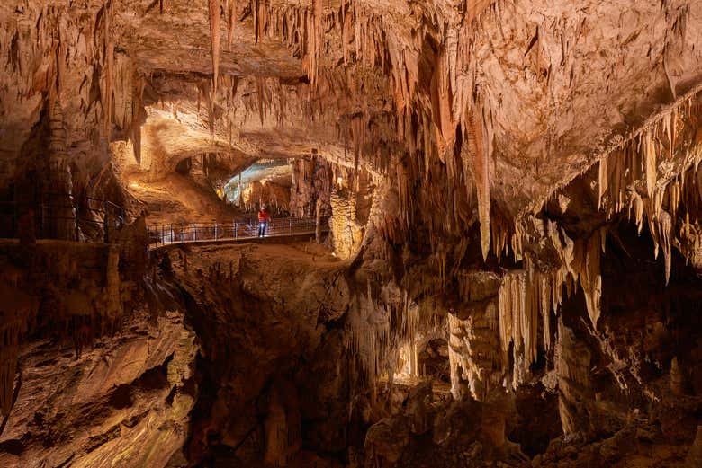 Postojna Cave & Predjama Castle Day Trip from Piran