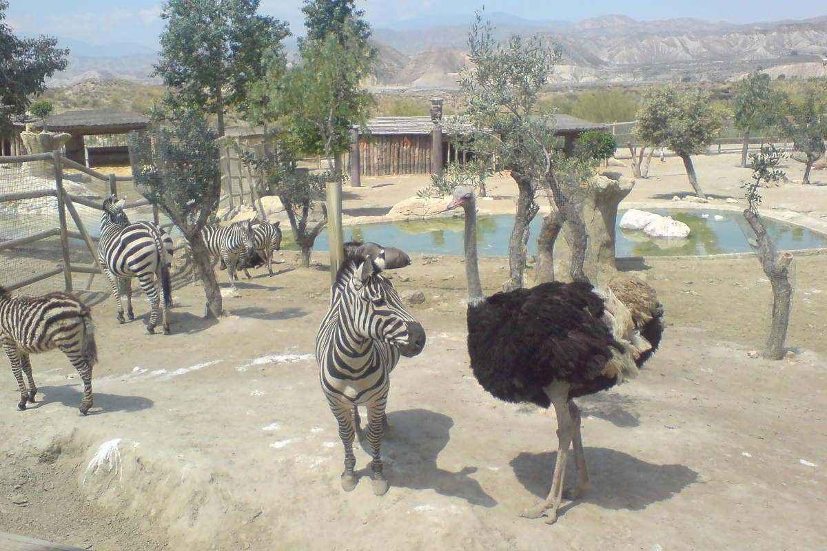 Excursión al Oasys Mini Hollywood de Almería desde Aguadulce