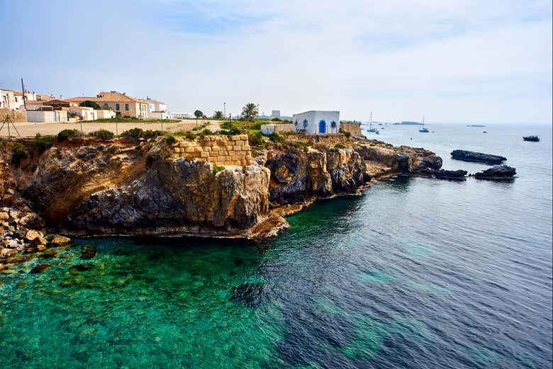Excursión a la isla de Tabarca y palmeral de Elche desde Alicante
