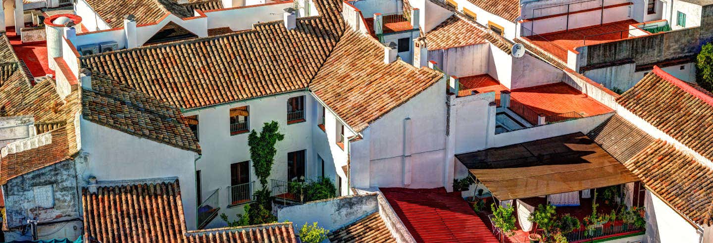 Excursions, visites guidées et activités à Almodóvar del Río