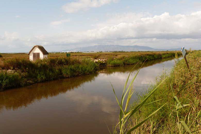 Ebro Delta Day Trip & Catamaran Tour from Benicassim