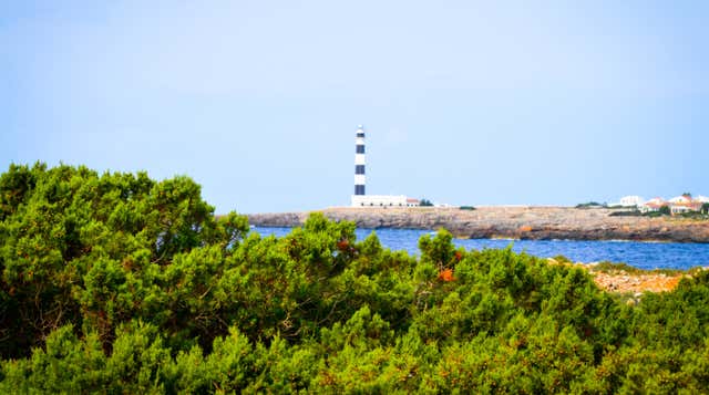 Activities, Guided Tours and Day Trips in Cala en Bosch