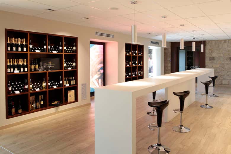 Visita a Bodegas Riojanas con degustación de vino, Cenicero