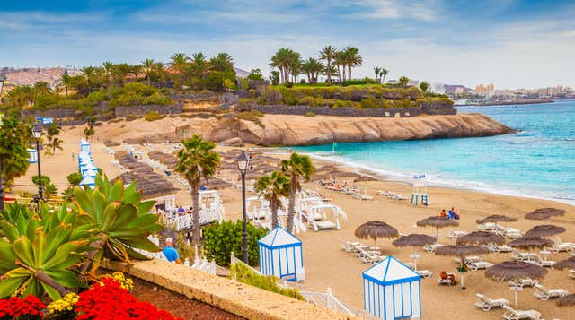 Activities, Guided Tours and Day Trips in Costa Adeje - Civitatis