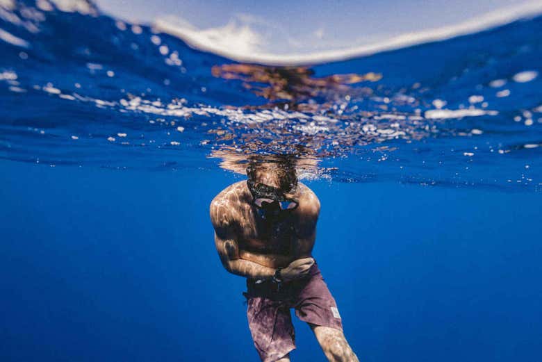 Balade en catamaran de 5 heures avec observation et écoute de cétacés ...