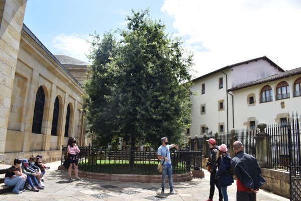 Tour privado por Guernica - Reserva online en Civitatis.com